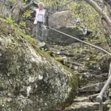 Sharp Top Trail, Virginia - 2,778 Reviews, Map | AllTrails