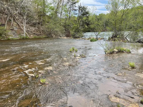 Best Walking Trails in Stuart | AllTrails