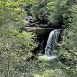 Fiery Gizzard Loop, Tennessee - 1,242 Reviews, Map | AllTrails