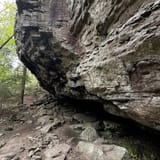 Fiery Gizzard Loop, Tennessee - 1,242 Reviews, Map | AllTrails