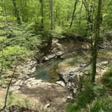 Green River Bluff, Echo River Springs, Sinkhole and Heritage Trail ...