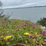 Washington Park Loop Road, Washington - 1,903 Reviews, Map | AllTrails