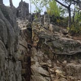 Seneca Rocks Trail, West Virginia - 2,828 Reviews, Map | AllTrails