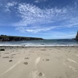 Salt Point Trail to Stump Beach, California - 755 Reviews, Map | AllTrails