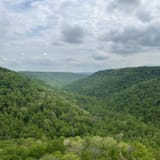 Fiery Gizzard Loop, Tennessee - 1,242 Reviews, Map | AllTrails