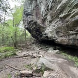 Fiery Gizzard Loop, Tennessee - 1,242 Reviews, Map | AllTrails