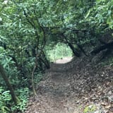 Deep Creek Loop Trail, North Carolina - 2,121 Reviews, Map | AllTrails