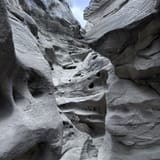 Wiregrass Canyon, Utah - 159 Reviews, Map | AllTrails