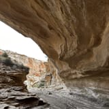 Wiregrass Canyon, Utah - 159 Reviews, Map | AllTrails