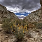 Wiregrass Canyon, Utah - 159 Reviews, Map | AllTrails