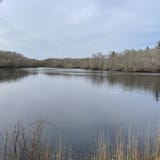 Farmsite Simmons Pond Loop, Rhode Island - 691 Reviews, Map | AllTrails