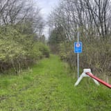 Rock Point Provincial Park, Ontario, Canada - 44 Reviews, Map | AllTrails