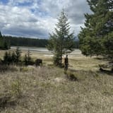 Pig Farm Trail System, Montana - 256 Reviews, Map | AllTrails