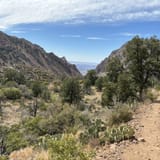 Basin Loop Trail, Texas - 1,156 Reviews, Map | AllTrails