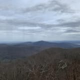 Mount Tremper Trail, New York - 1,557 Reviews, Map | AllTrails