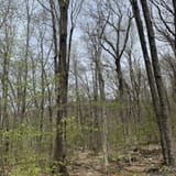 Mount Tremper Trail, New York - 1,557 Reviews, Map | AllTrails