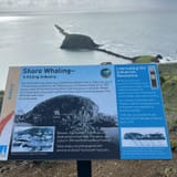 Pecho Coast Trail, California - 64 Reviews, Map | AllTrails