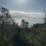 Pecho Coast Trail, California - 64 Reviews, Map | AllTrails