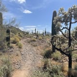 Pass Mountain Trail, Arizona - 4,636 Reviews, Map | AllTrails