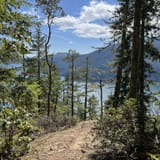 Mount Rose Trail, Washington - 1,473 Reviews, Map | AllTrails