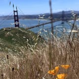 Slacker Hill Trail, California - 409 Reviews, Map | AllTrails
