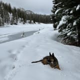 Officers Gulch, Colorado - 701 Reviews, Map | AllTrails