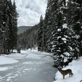 Officers Gulch, Colorado - 674 Reviews, Map | AllTrails