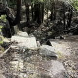 McKenzie Mountain via Jack Rabbit Trail, New York - 670 Reviews, Map ...