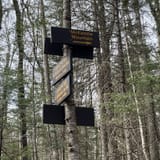 McKenzie Mountain via Jack Rabbit Trail, New York - 670 Reviews, Map ...