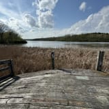 Pierce Lake Trail, Illinois - 887 Reviews, Map | AllTrails