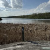 Pierce Lake Trail, Illinois - 887 Reviews, Map | AllTrails