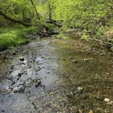 Pierce Lake Trail, Illinois - 887 Reviews, Map | AllTrails