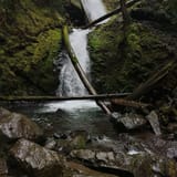 Murhut Falls Trail, Washington - 963 Reviews, Map | AllTrails