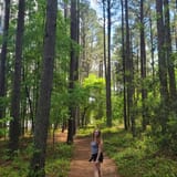 Harris Lake Peninsula Trail, North Carolina - 1,981 Reviews, Map ...