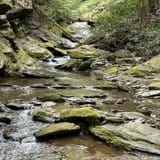 Kelly's Run Loop Trail, Pennsylvania - 3,398 Reviews, Map | AllTrails