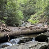 Kelly's Run Loop Trail, Pennsylvania - 3,398 Reviews, Map | AllTrails