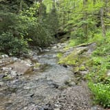 Kelly's Run Loop Trail, Pennsylvania - 3,398 Reviews, Map | AllTrails