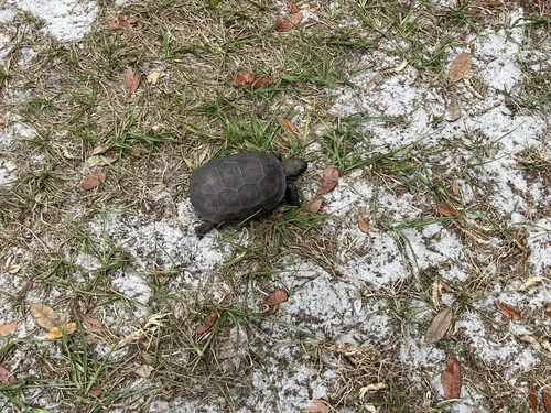 Best Easy Trails in Split Oak Forest Wildlife And Environmental Area ...