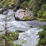 Boulder River Trail, Washington - 1,812 Reviews, Map | AllTrails