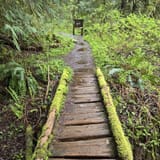Boulder River Trail, Washington - 1,812 Reviews, Map | AllTrails