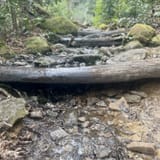 Mount Cammerer via Appalachian Trail, Tennessee - 246 Reviews, Map ...