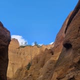 Red Mountain Trail, Arizona - 968 Reviews, Map | AllTrails