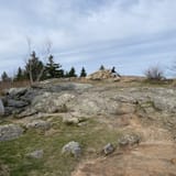 Mount Watatic, Massachusetts - 1,528 Reviews, Map | AllTrails