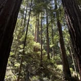 Bootjack Loop, California - 1,798 Reviews, Map | AllTrails