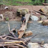 Maple Canyon to Whiting Campground, Utah - 607 Reviews, Map | AllTrails