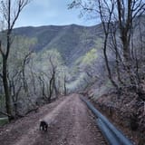 Maple Canyon to Whiting Campground, Utah - 607 Reviews, Map | AllTrails