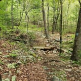 Signal Knob Loop Trail, Virginia - 1,066 Reviews, Map | AllTrails