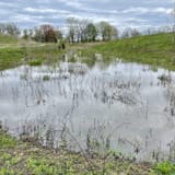 Salt Creek Greenway Trail, Illinois - 158 Reviews, Map | AllTrails