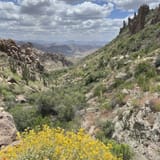 Lone Tree via Peralta Canyon Trail, Arizona - 1,944 Reviews, Map ...