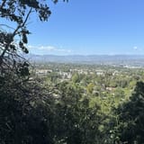 Fryman Canyon Trail, California - 6,231 Reviews, Map | AllTrails